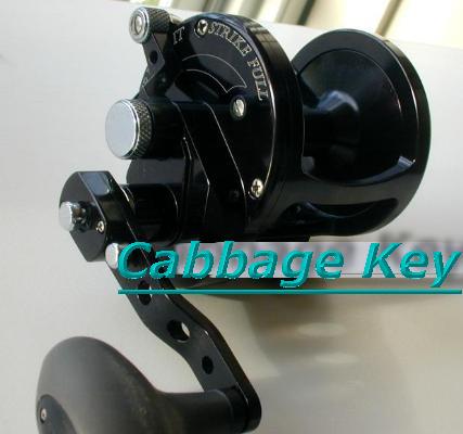 Avet Reels