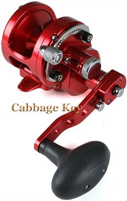 Avet SX & MX Raptors